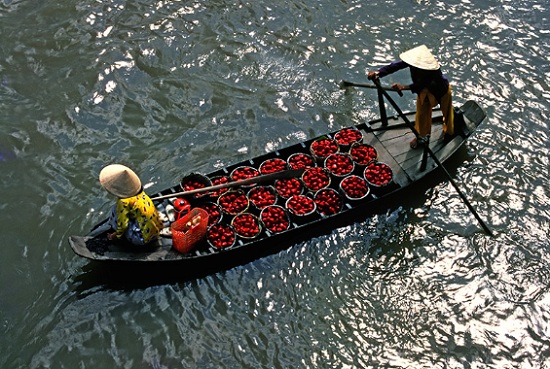 - Horizon Vietnam Travel